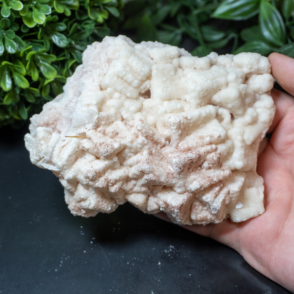 Pink Halite #4 - The Crystal Council