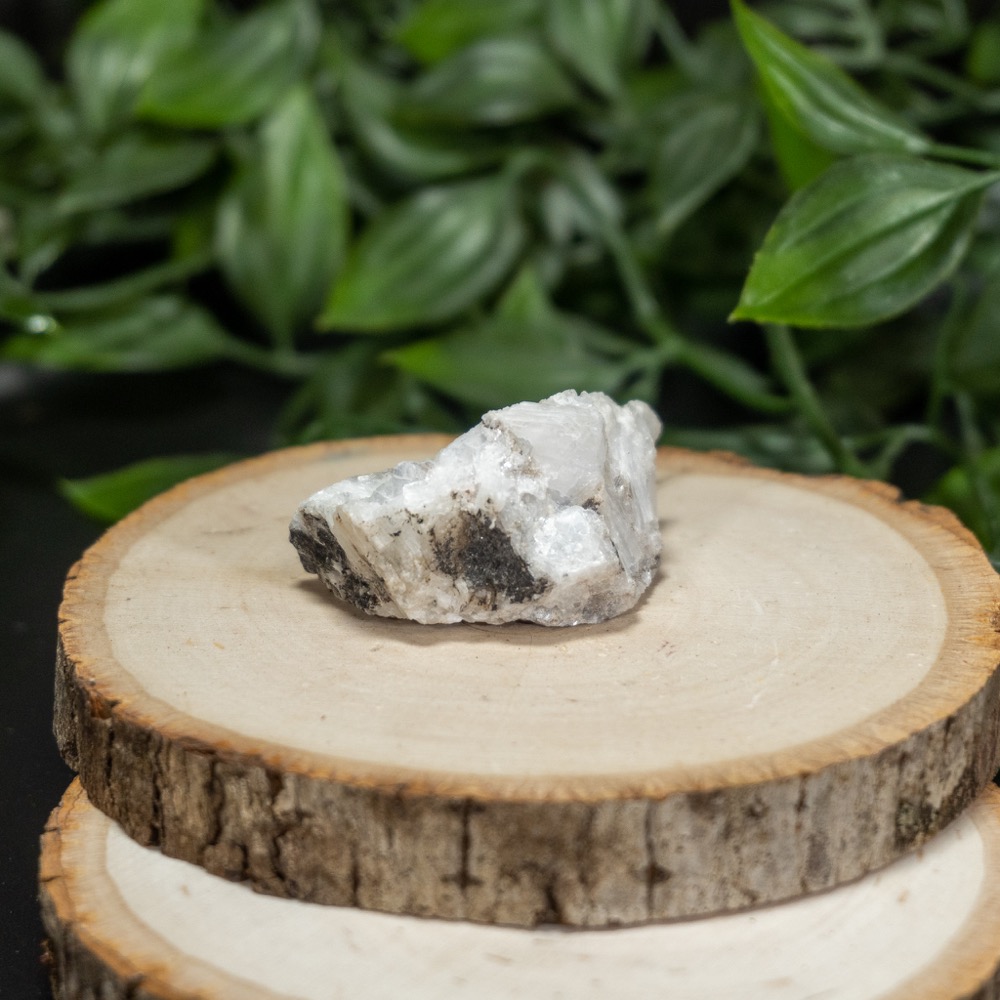 Epididymite Raw #2 - The Crystal Council