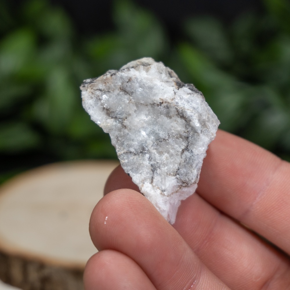 Epididymite Raw #2 - The Crystal Council