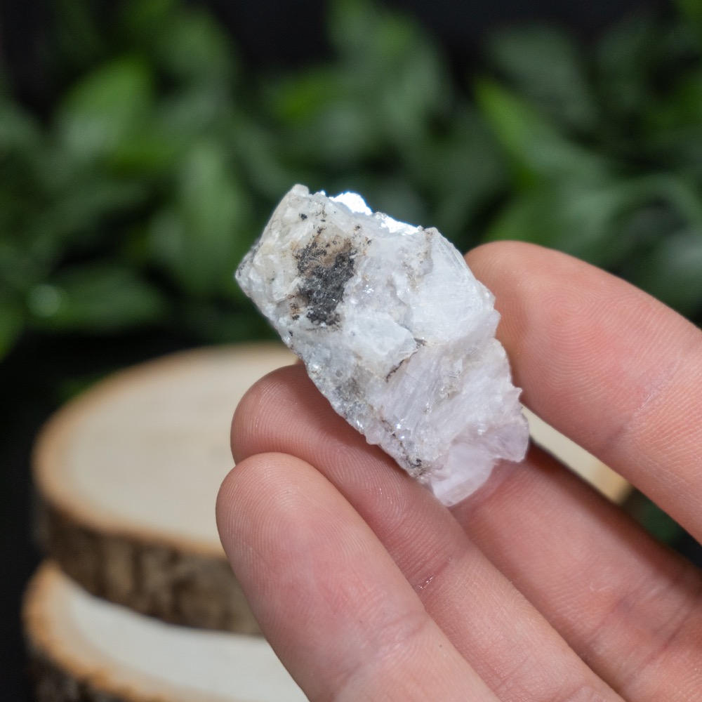 Epididymite Raw #2 - The Crystal Council