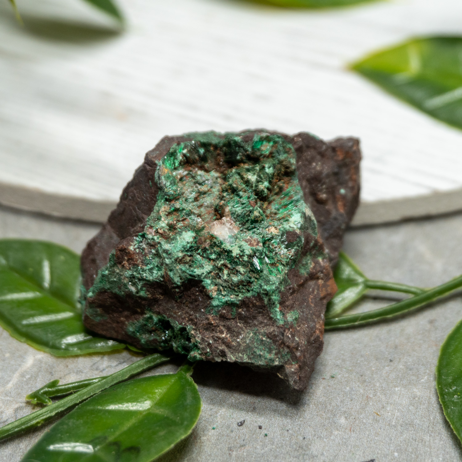 Brochantite Raw #1 - The Crystal Council