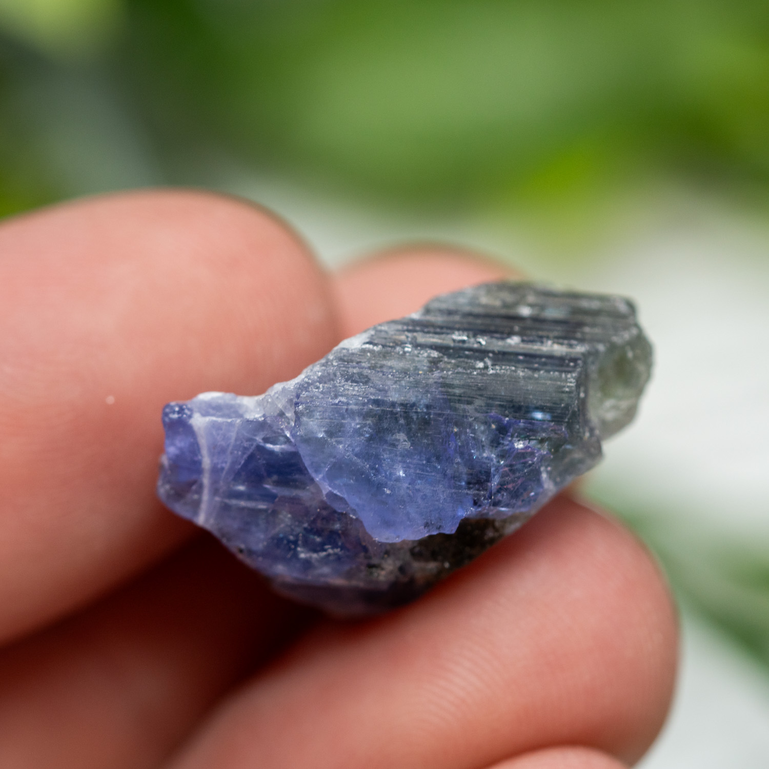 Tanzanite Raw #4 - The Crystal Council