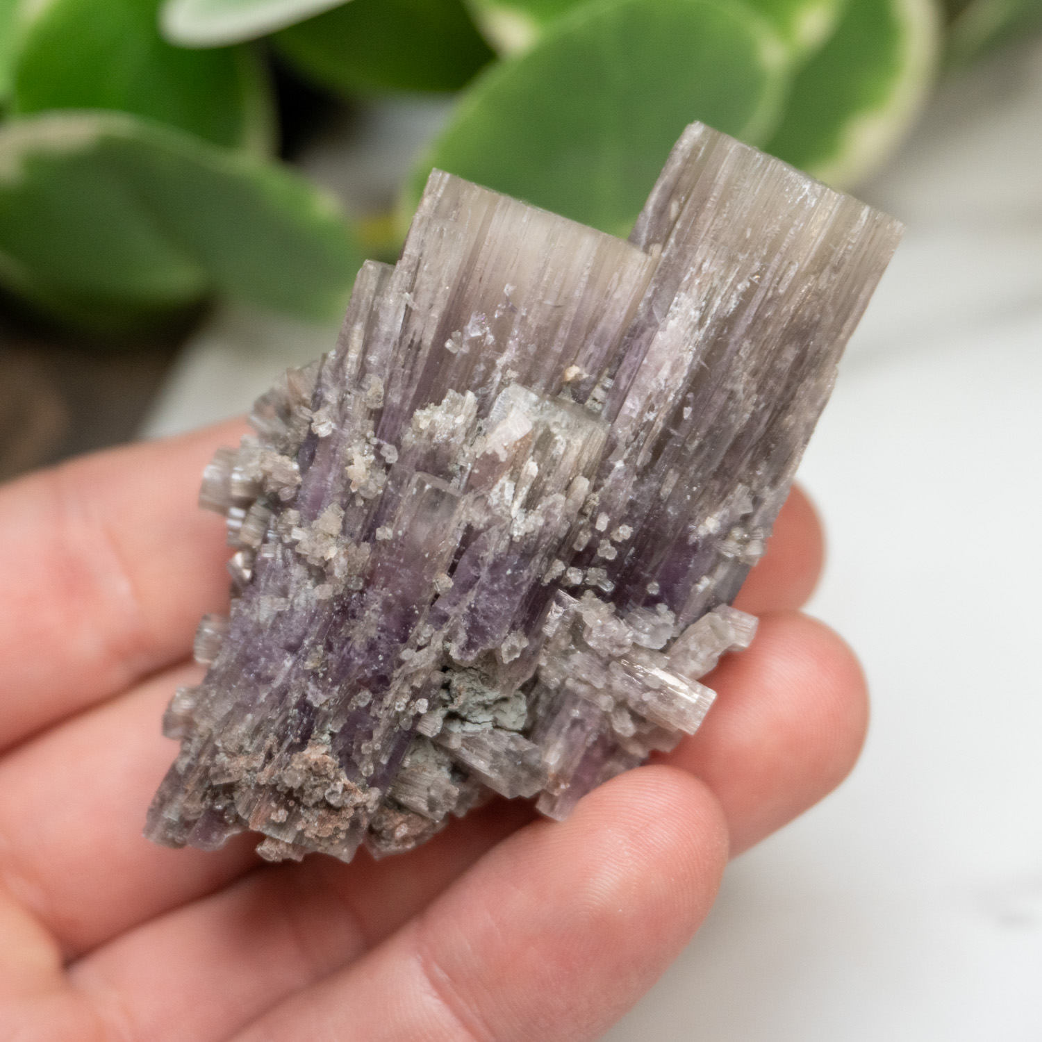 Purple Aragonite #14 - The Crystal Council