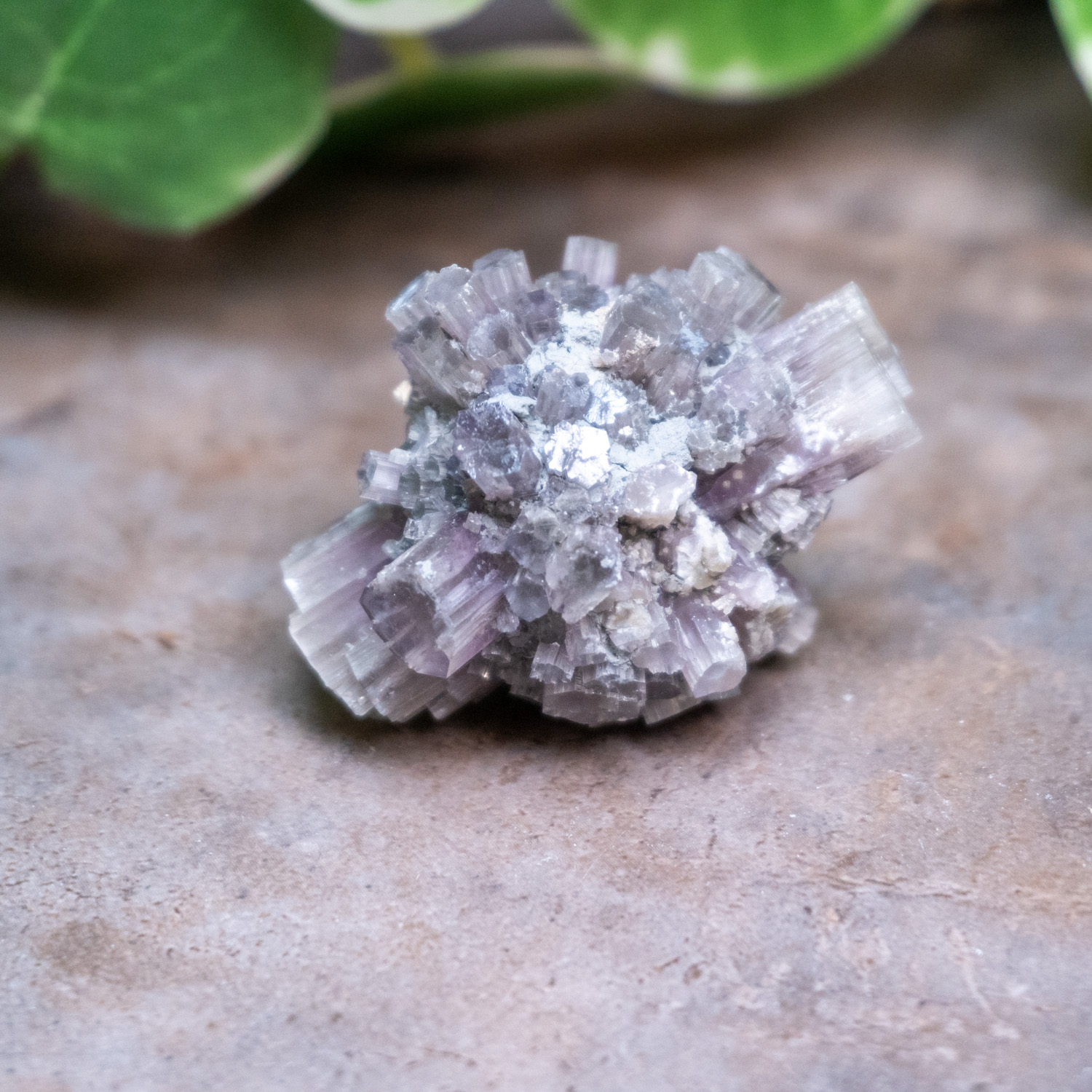 Purple Aragonite #2 - The Crystal Council