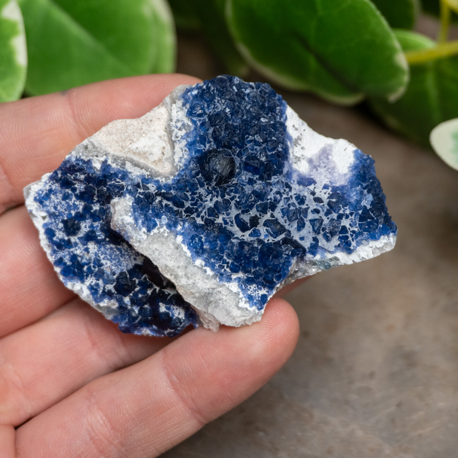 Inner Mongolian Blueberry Fluorite #3 - The Crystal Council