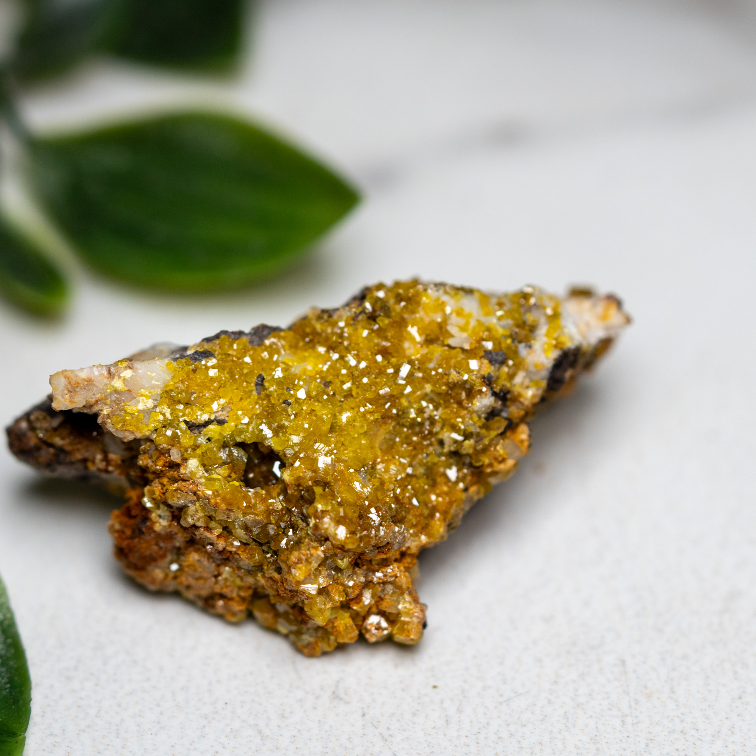 Pyromorphite Raw #3 - The Crystal Council