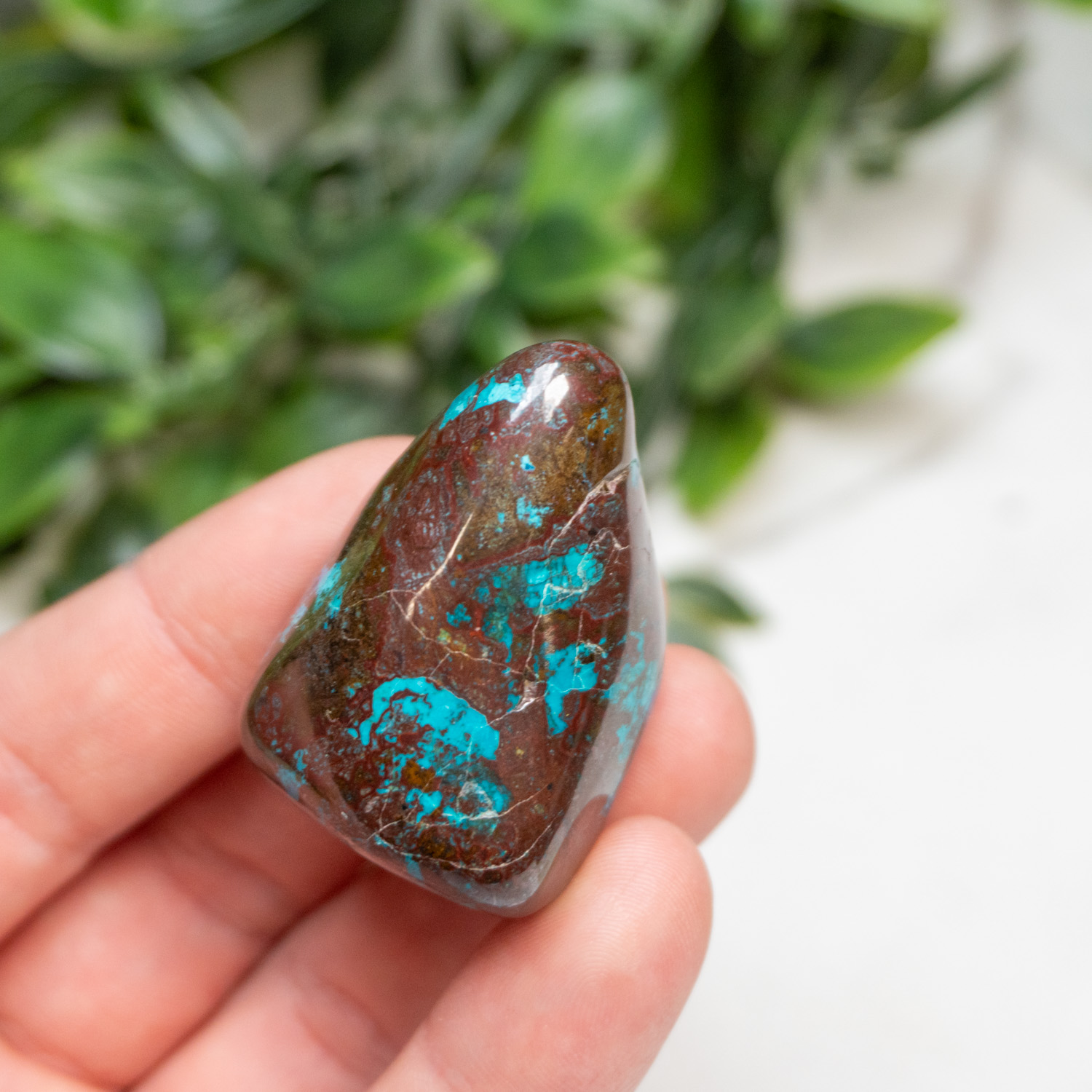 Shattuckite, Cuprite and Tenorite Polished Medium #4 - The Crystal Council