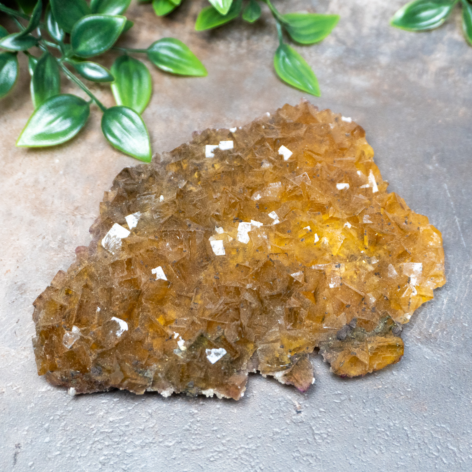 Yellow Fluorite with Pyrite #2 - The Crystal Council