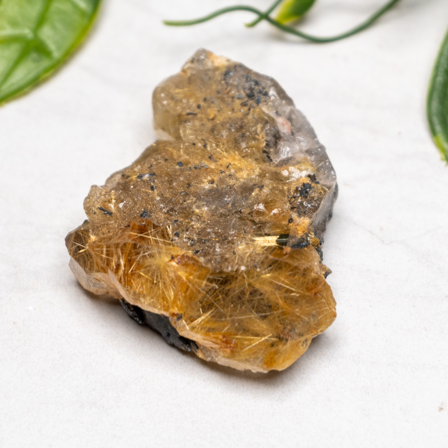 Rutile on Quartz #3 - The Crystal Council