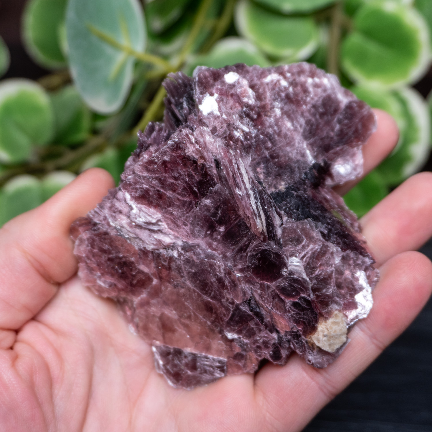 Lepidolite A+ Quality Raw #1 - The Crystal Council