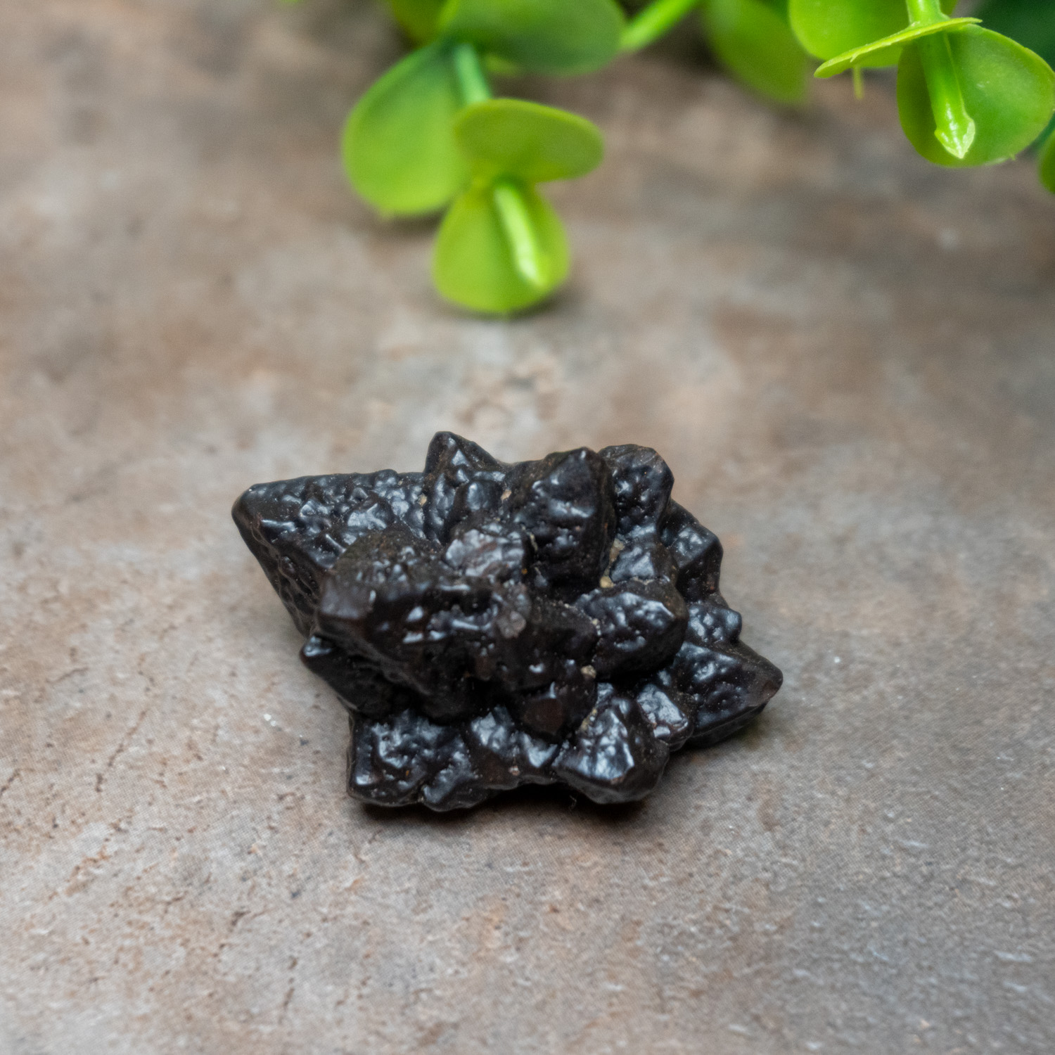 Prophecy Stone #12 - The Crystal Council