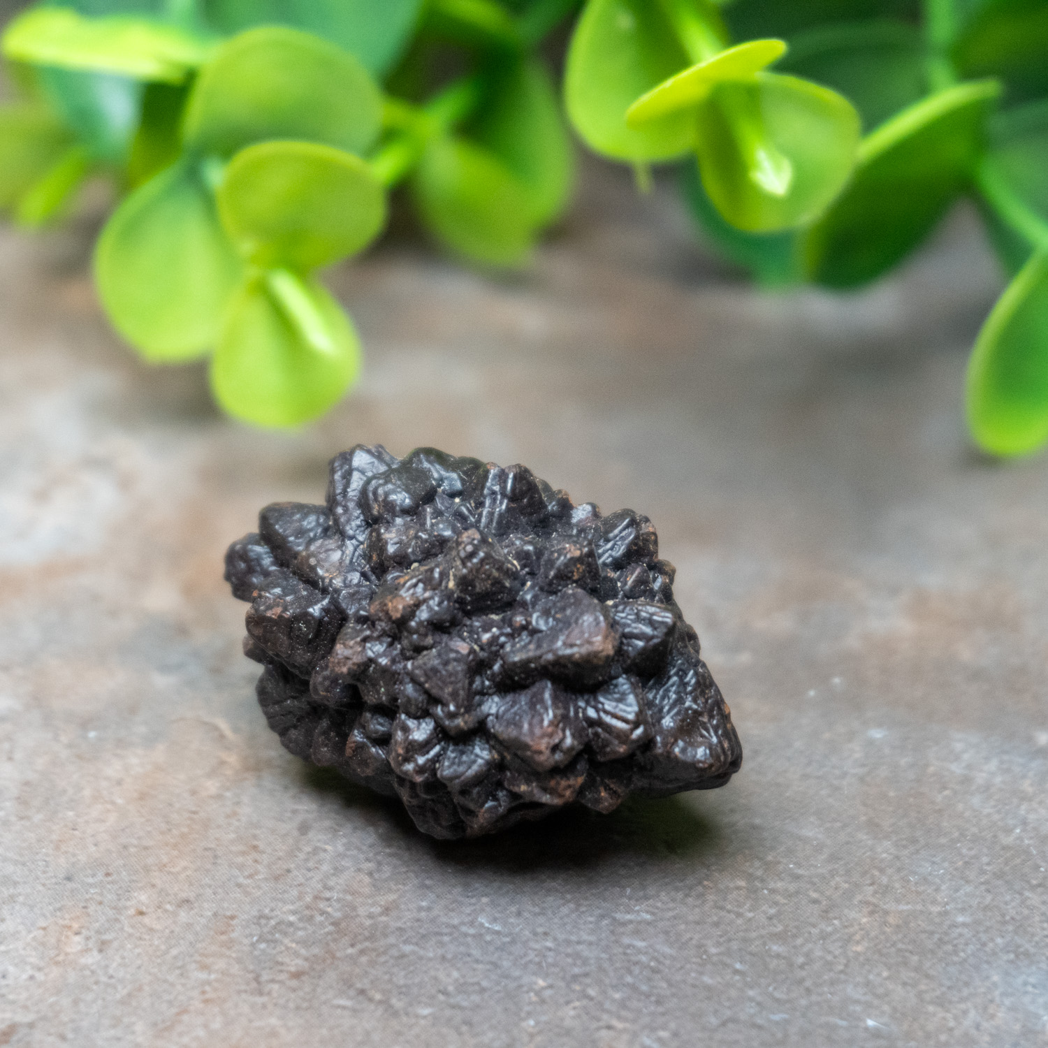 Prophecy Stone #6 - The Crystal Council