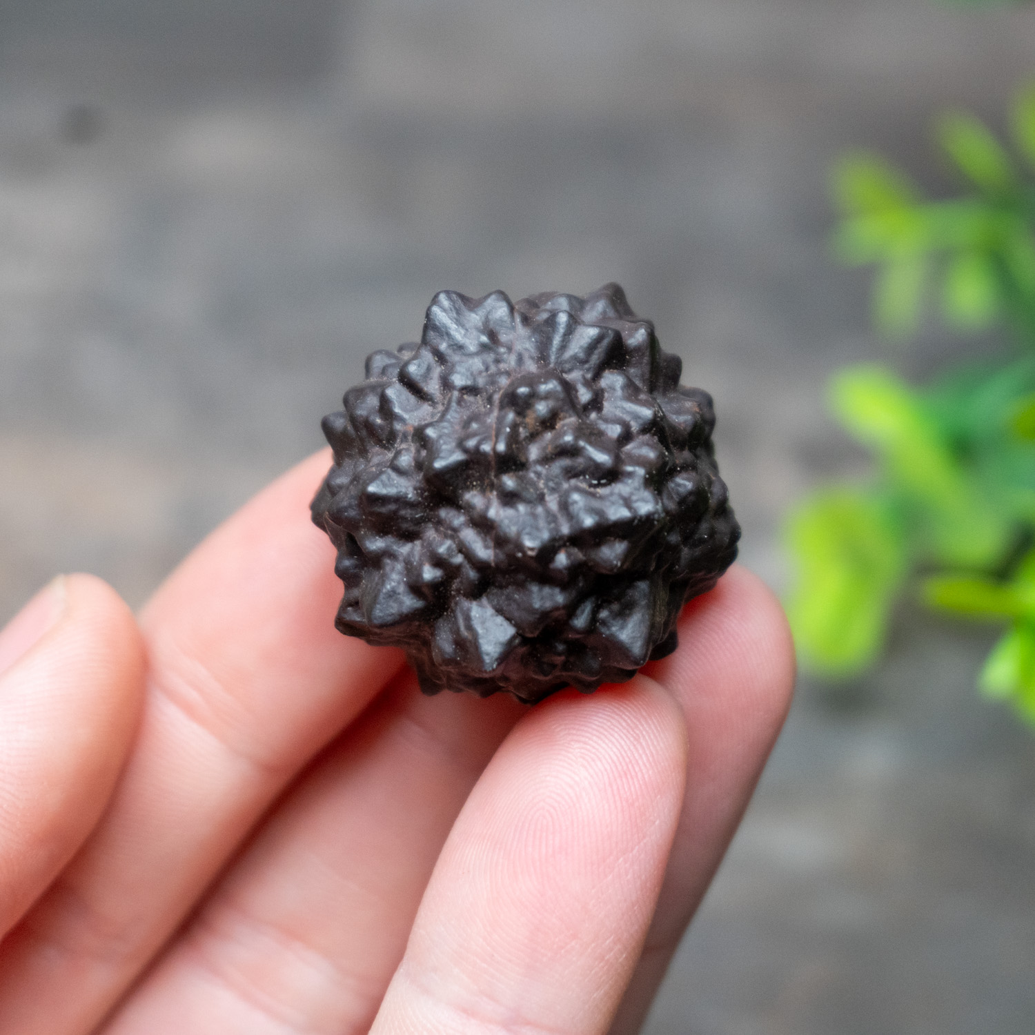 Prophecy Stone #4 - The Crystal Council