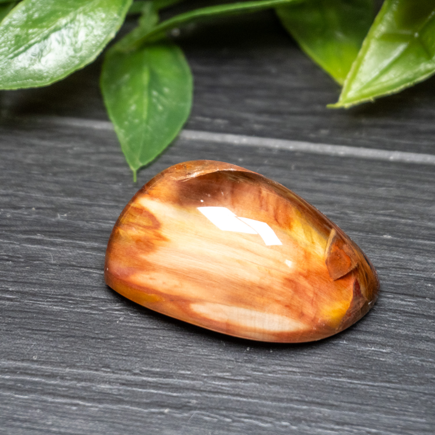 Polished Amphibole Quartz #1 - The Crystal Council