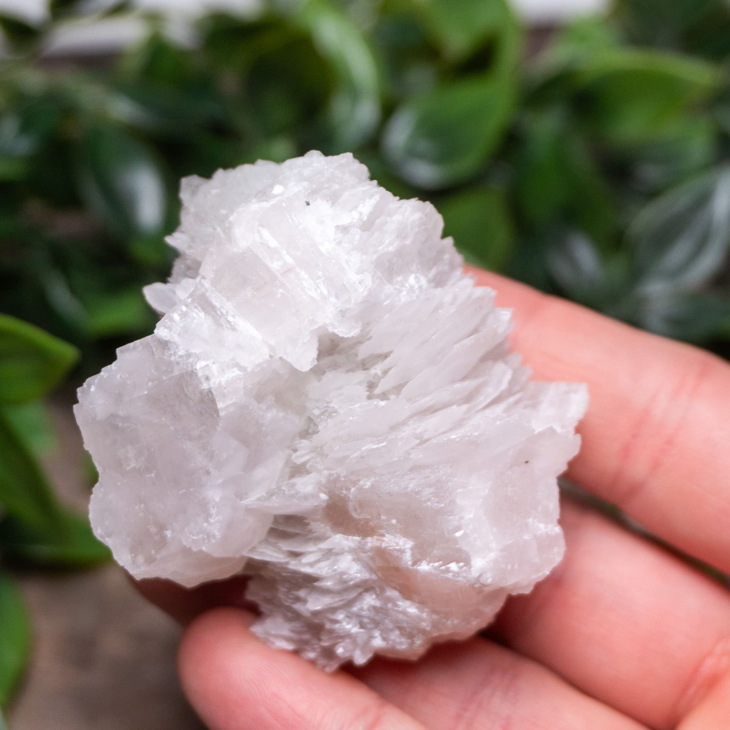 Mangano Calcite (UV Reactivte) #9 - The Crystal Council