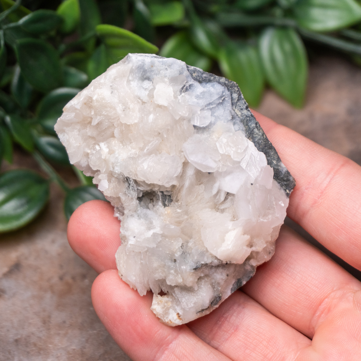 Mangano Calcite (UV Reactivte) #7 - The Crystal Council