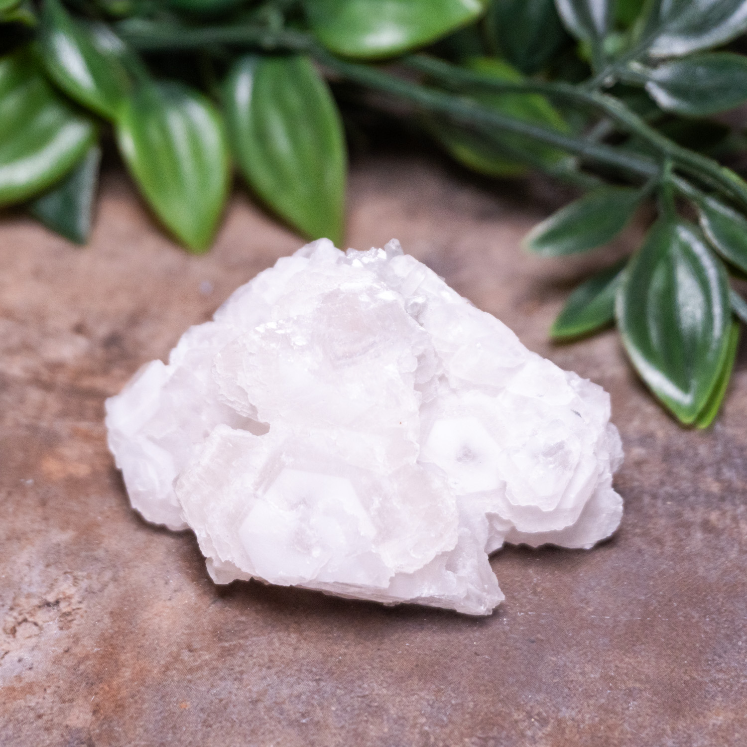 Mangano Calcite (UV Reactivte) #3 - The Crystal Council