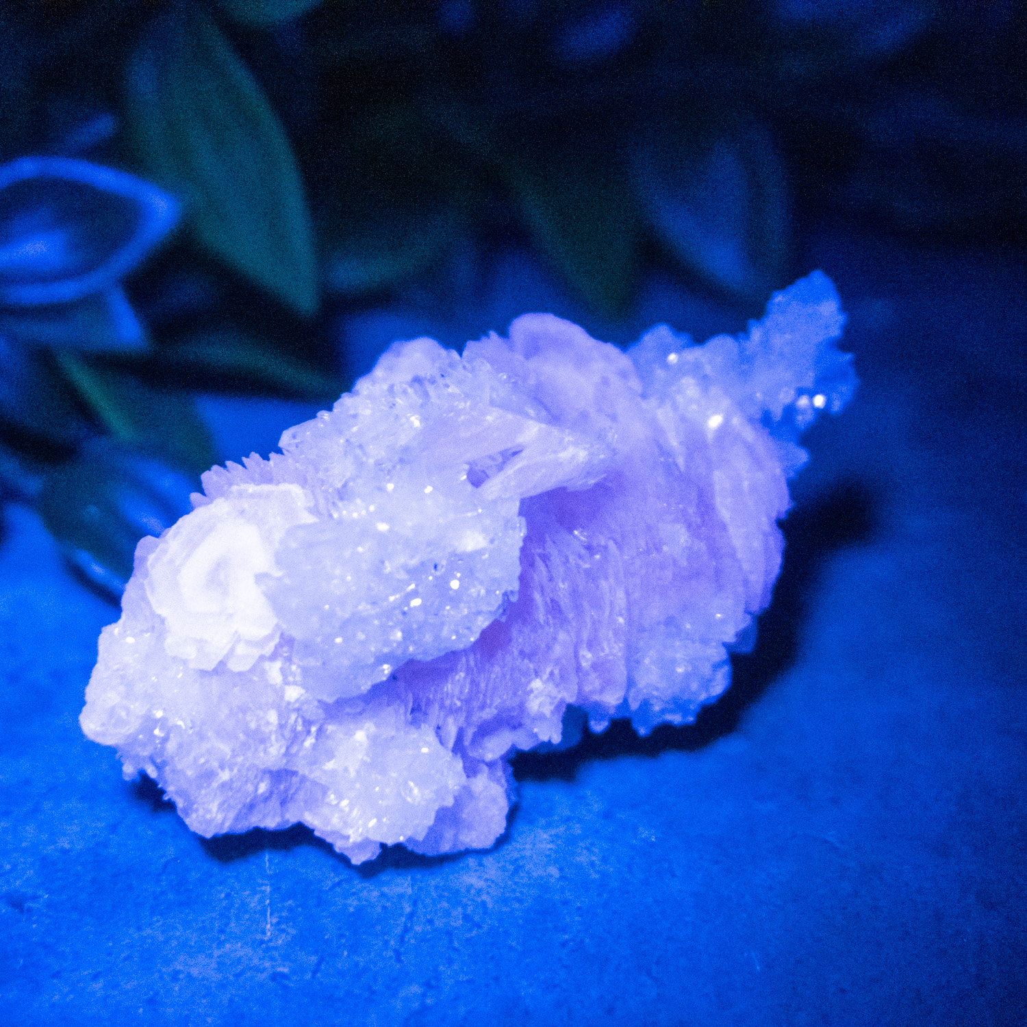 Mangano Calcite (UV Reactivte) #4 - The Crystal Council