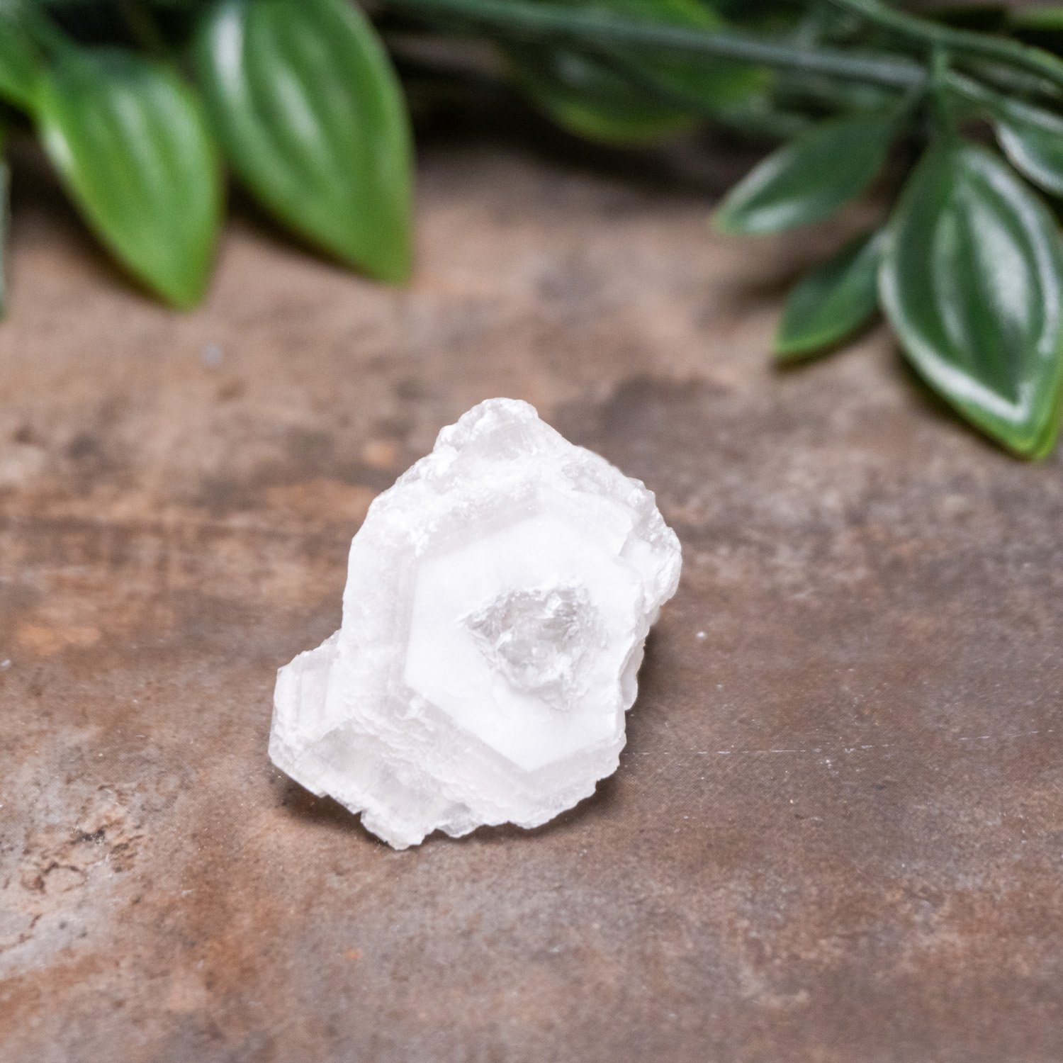 Mangano Calcite (UV Reactivte) #2 - The Crystal Council