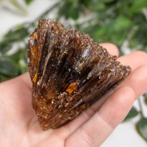 Learn About amber - The Crystal Council