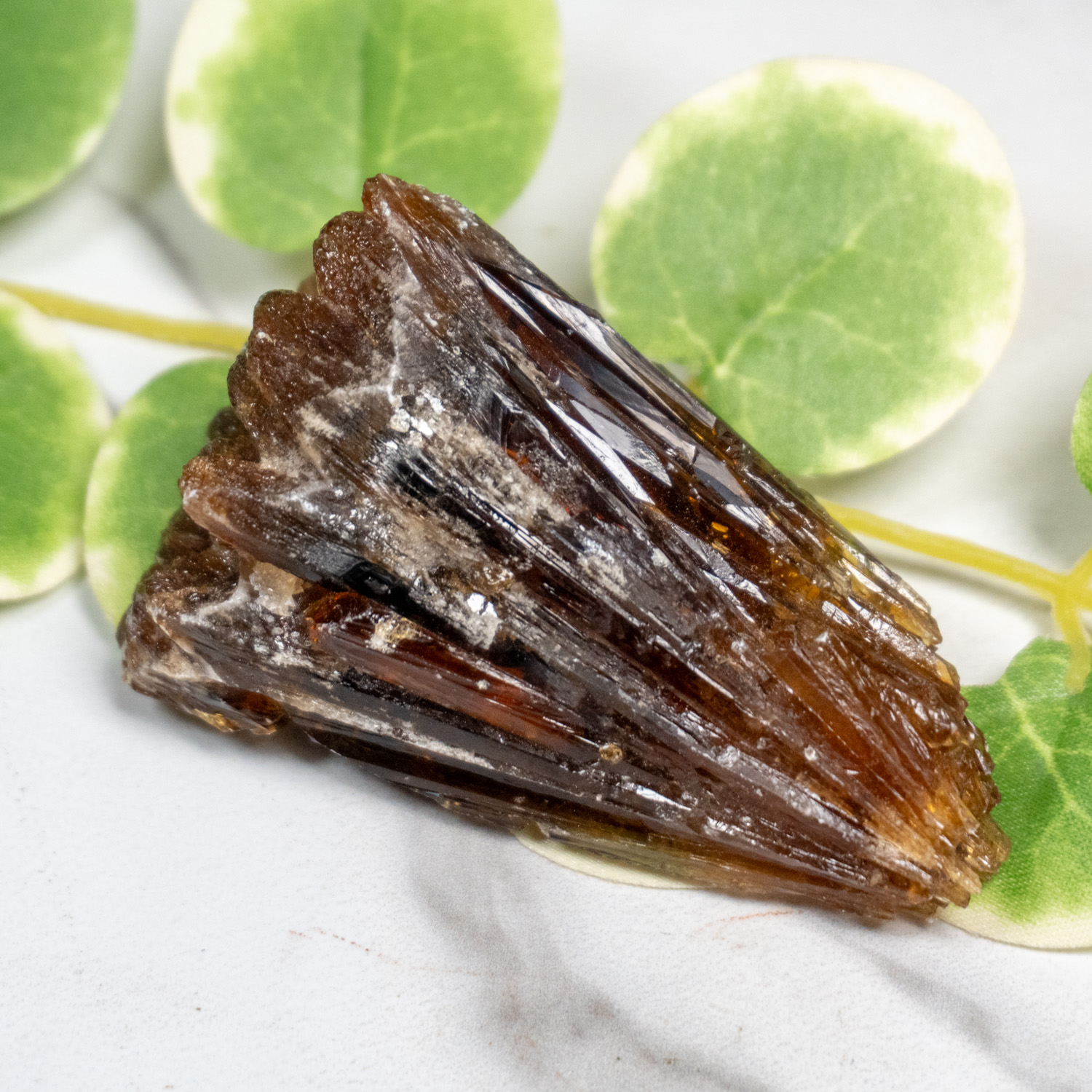 Amber Calcite #8 - The Crystal Council