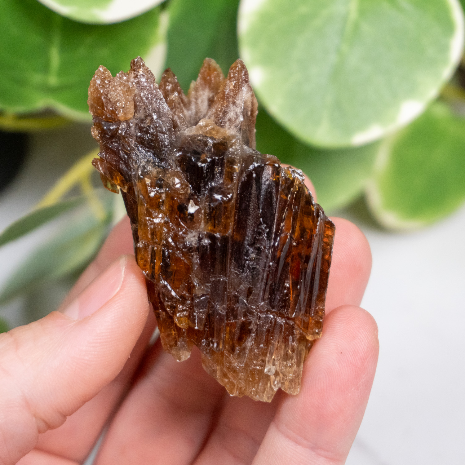 Amber Calcite #5 - The Crystal Council