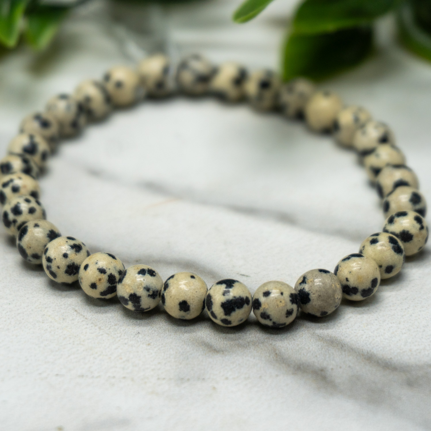 Dalmatian Jasper Bracelet 6mm - The Crystal Council