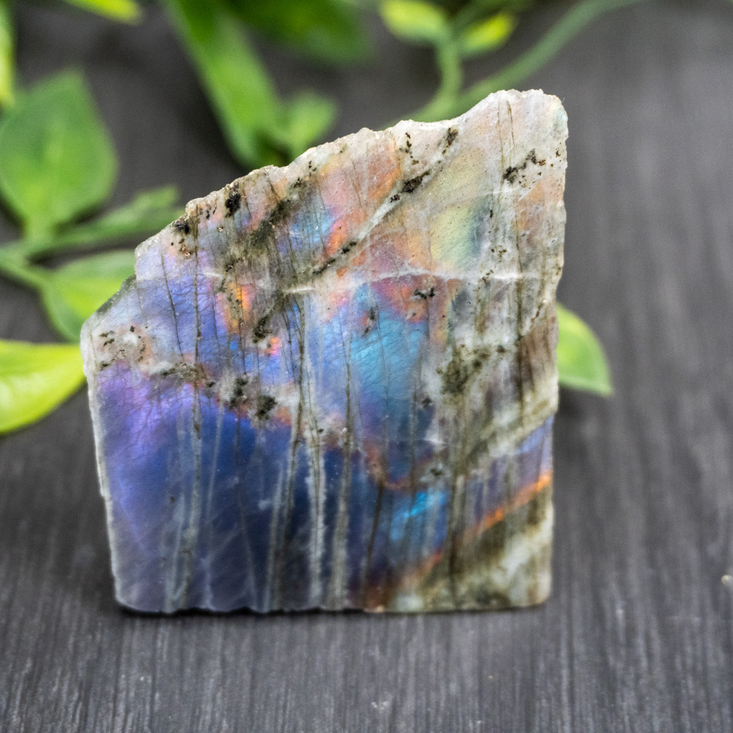Purple Labradorite Half Polished #5 - The Crystal Council