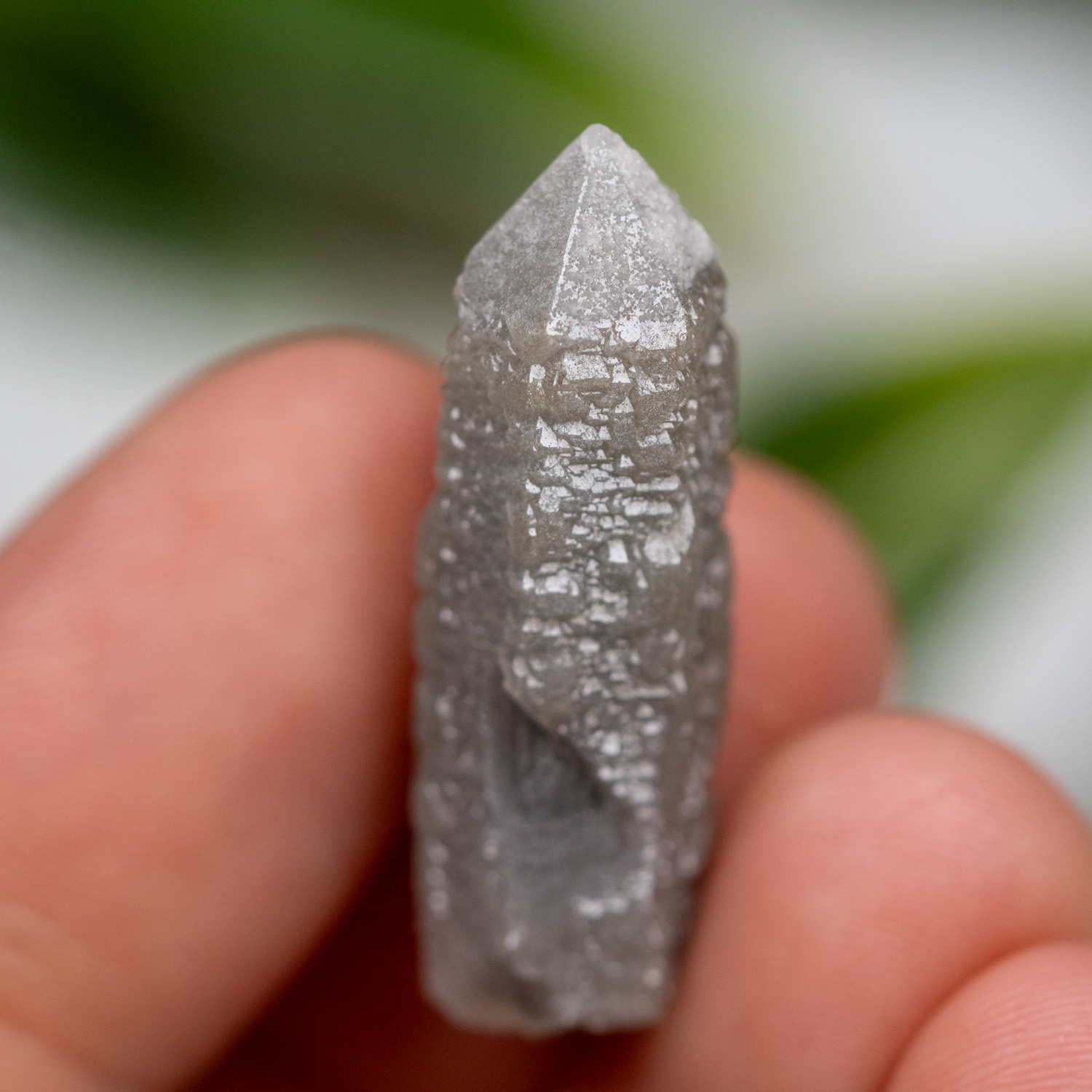 Hedenbergite Quartz #6 - The Crystal Council