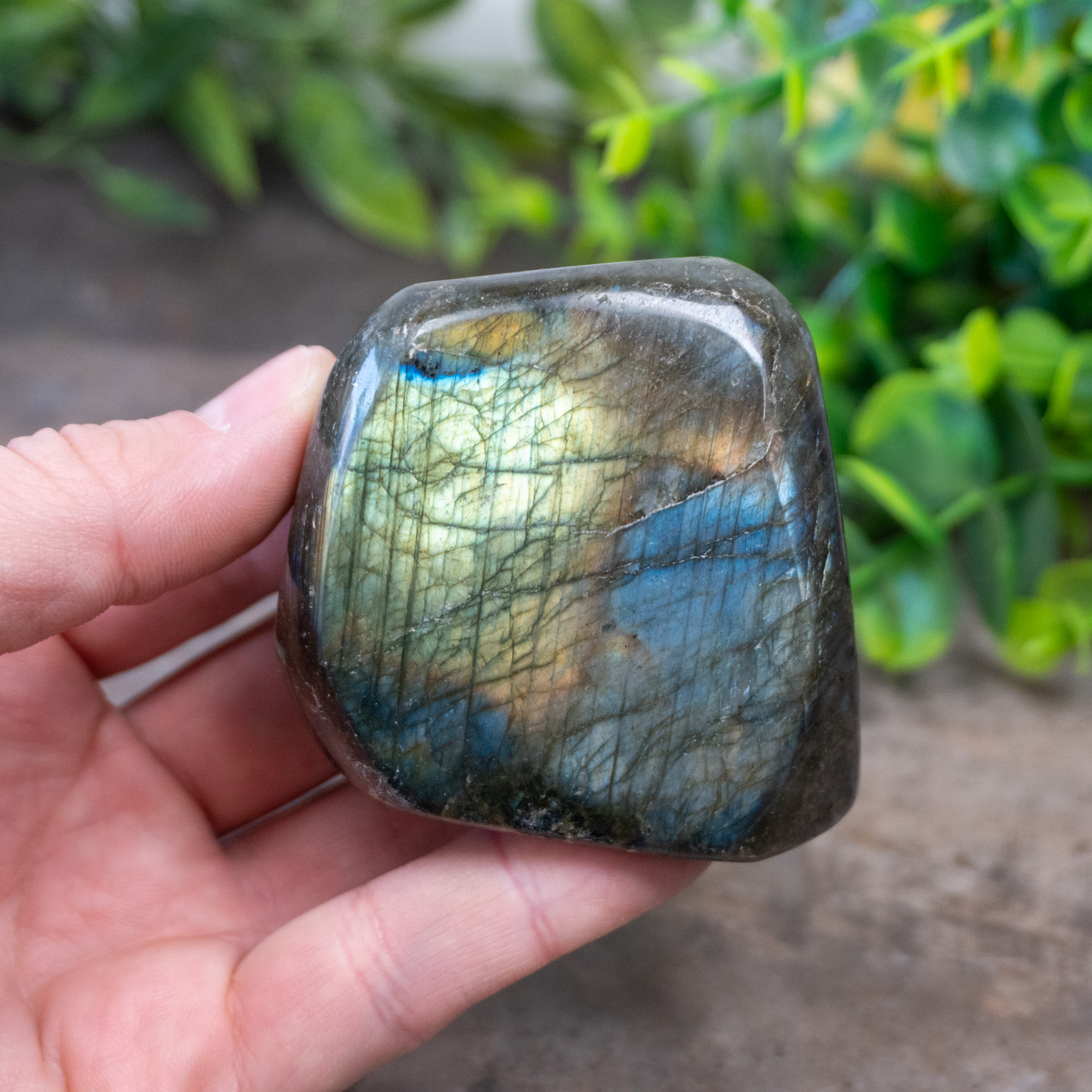 Labradorite Freeform #4 - The Crystal Council