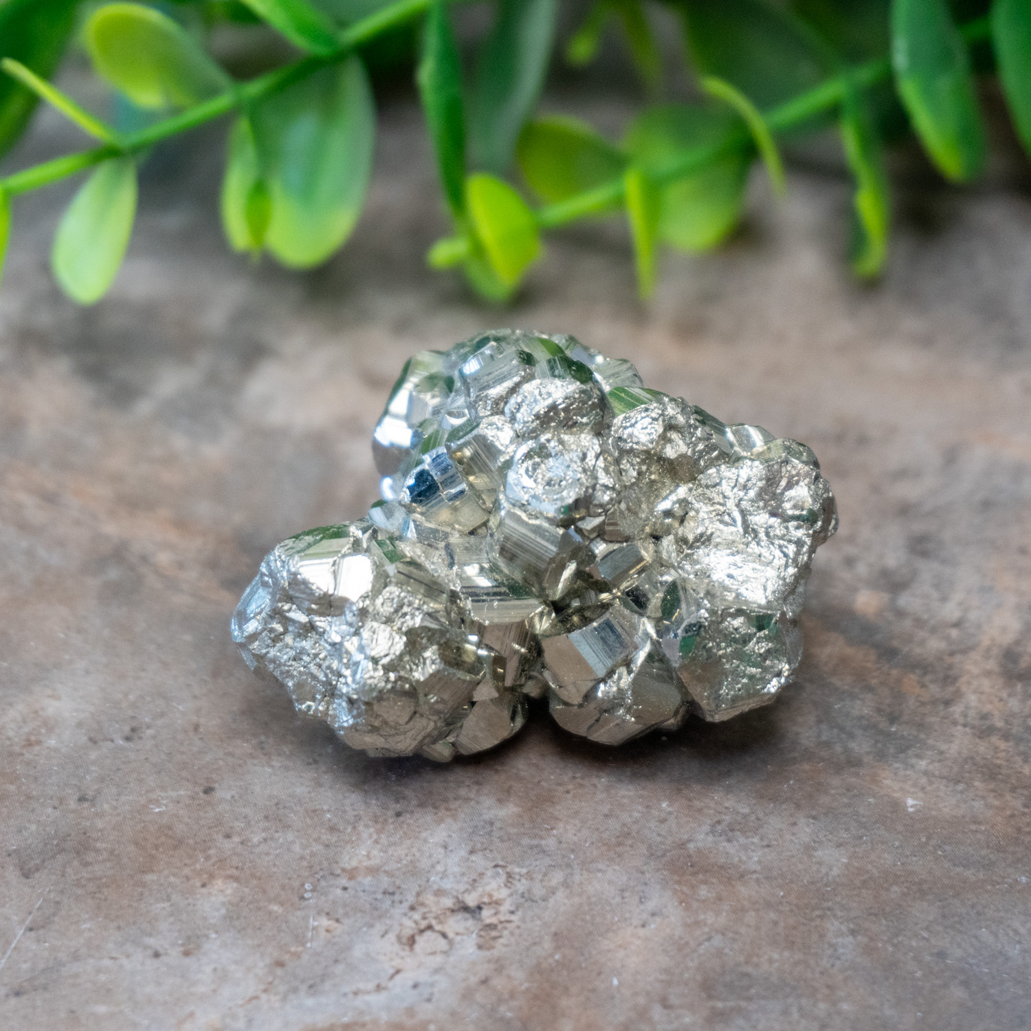 Pyrite #1 - The Crystal Council