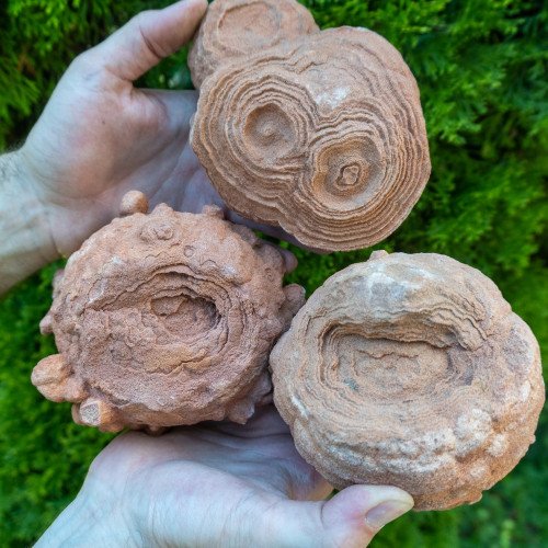 Stromatolite Meanings and Crystal Properties - The Crystal Council