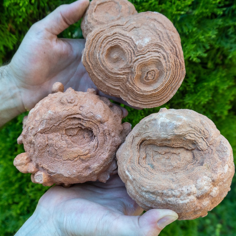 Large Stromatolite - The Crystal Council