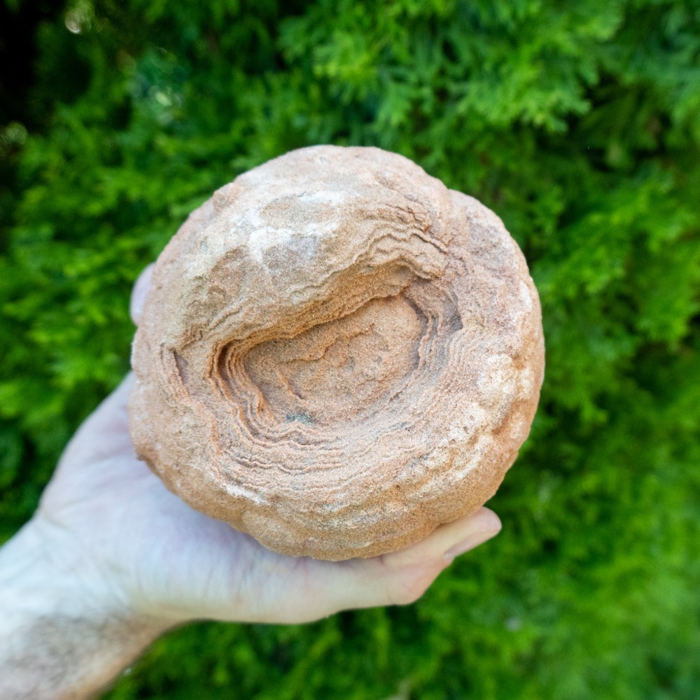 Large Stromatolite - The Crystal Council