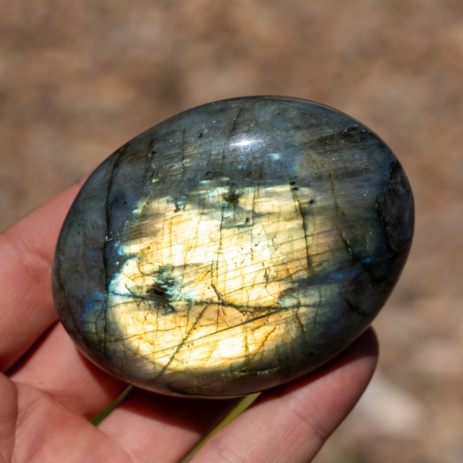 Labradorite XL Palmstone #13 - The Crystal Council