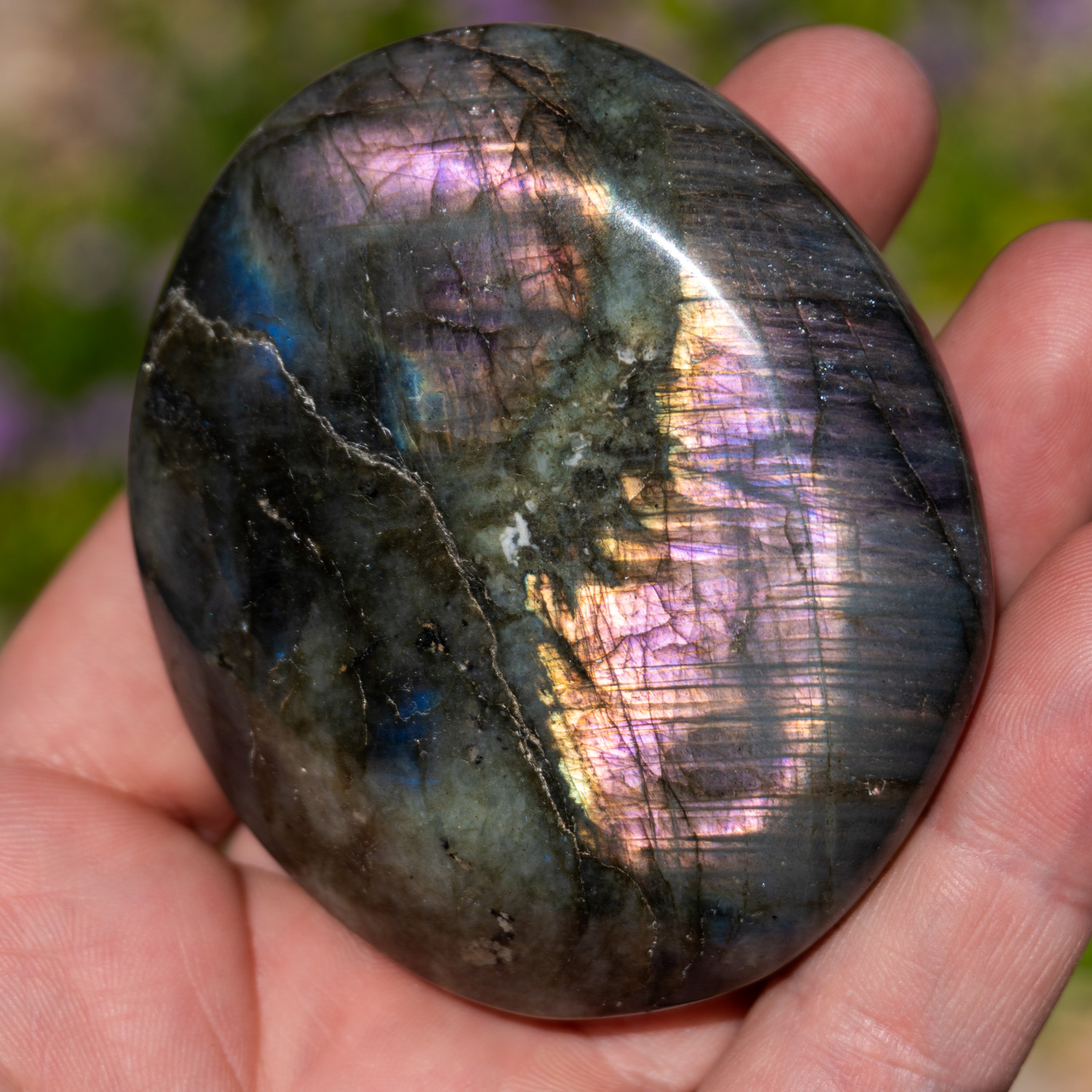 Labradorite XL Palmstone #6 - The Crystal Council