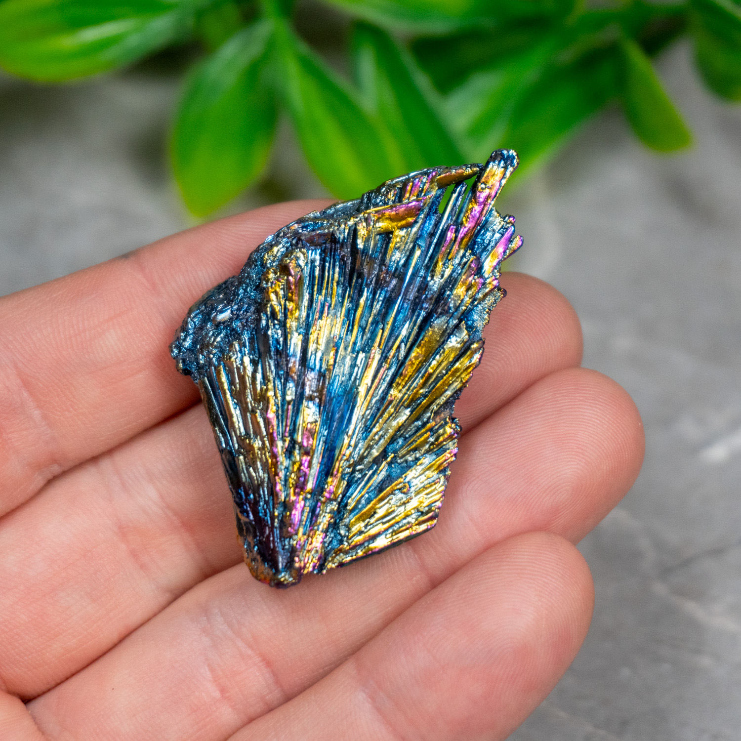 Titanium Black Kyanite #9 - The Crystal Council