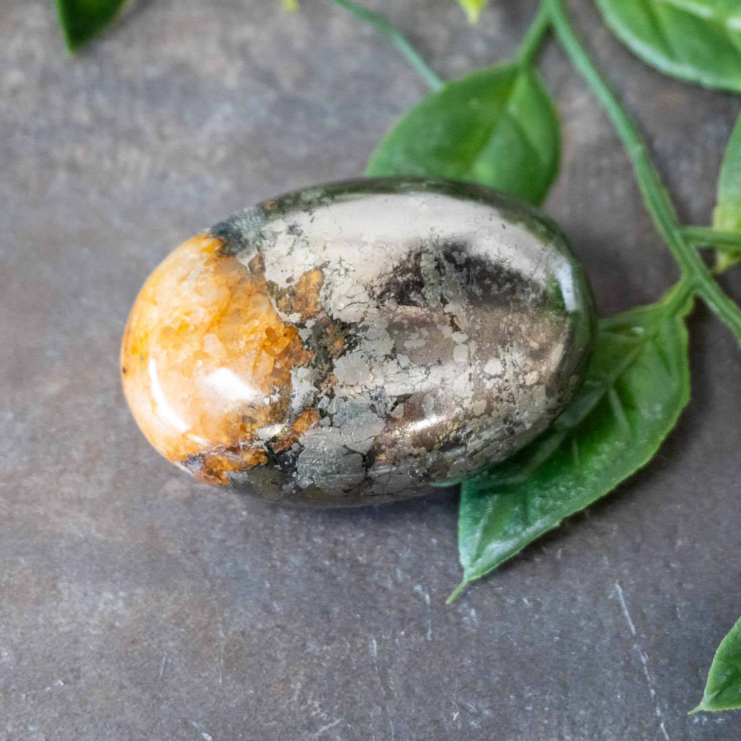 Lion's Gate Quartz Palmstone #6 - The Crystal Council