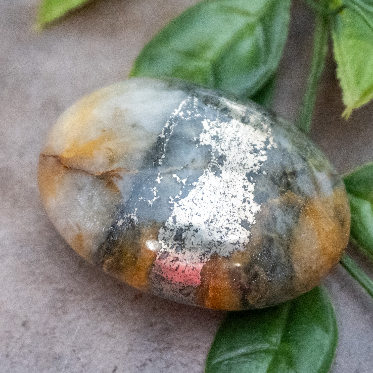 Lion's Gate Quartz Palmstone #18 - The Crystal Council