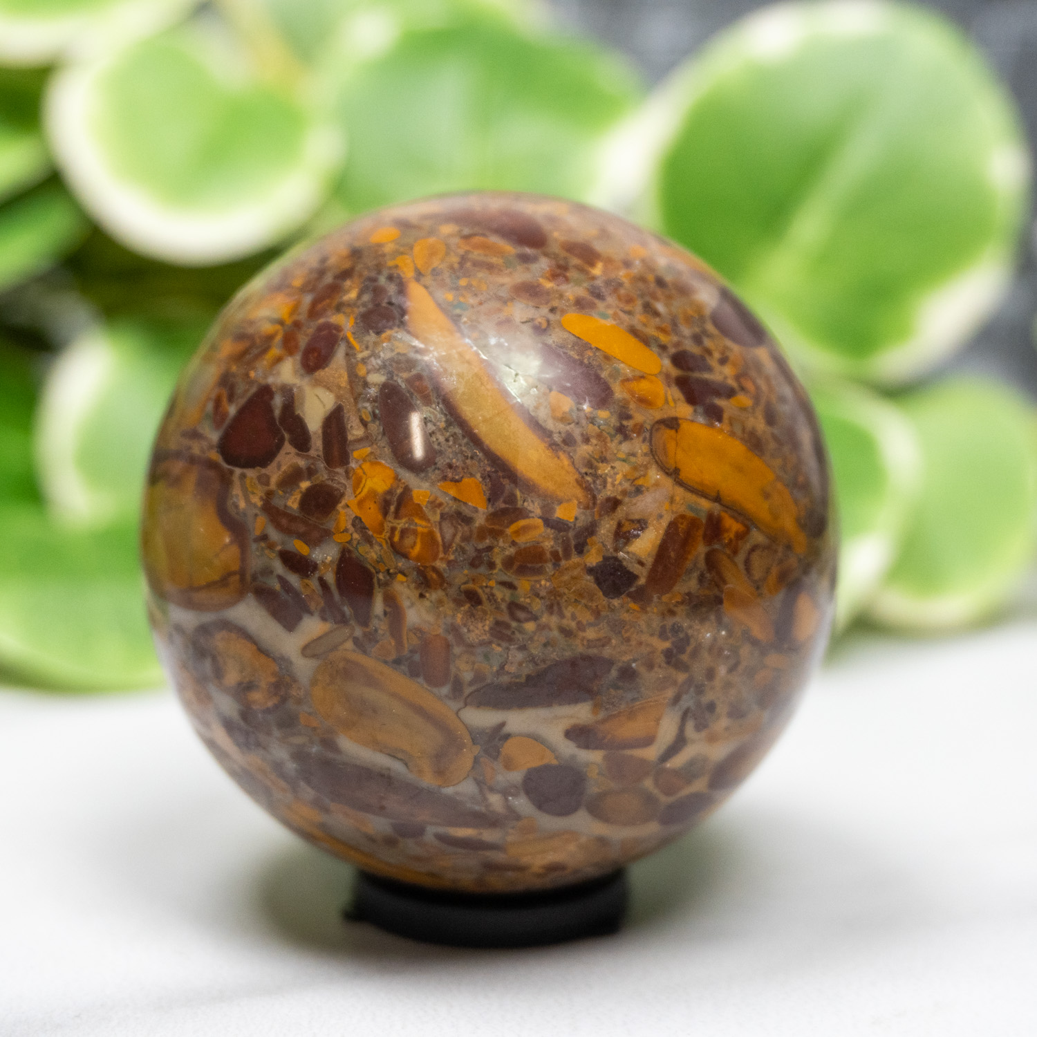 Fruit Jasper Sphere #6 - The Crystal Council