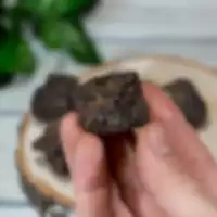 Small Raw Limonite over Pyrite - The Crystal Council