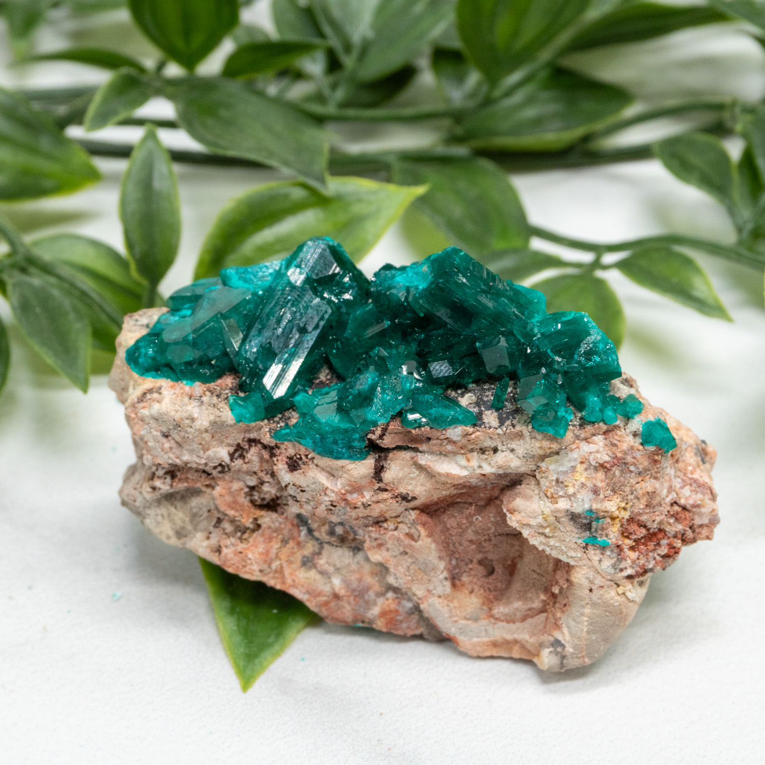 Dioptase #13 - The Crystal Council