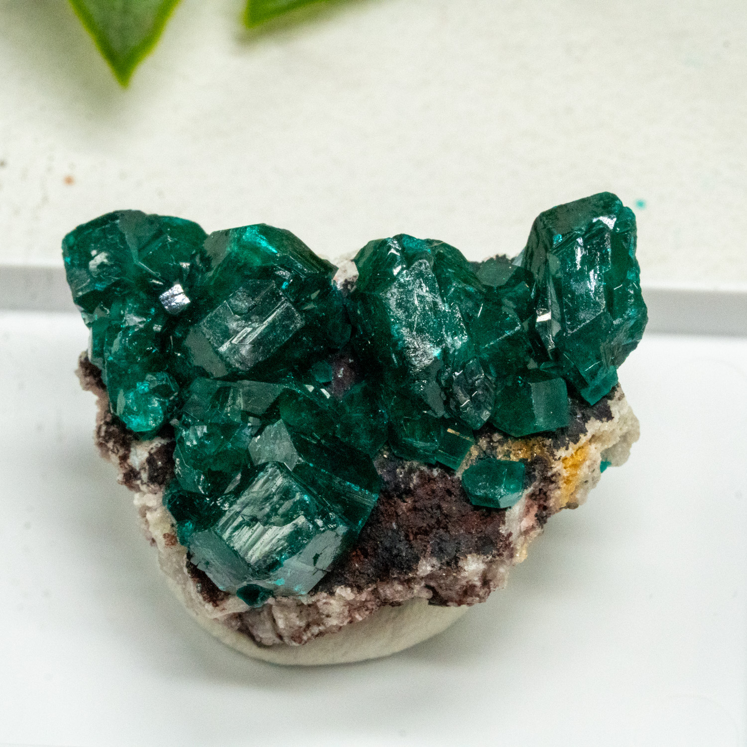 Dioptase #6 - The Crystal Council