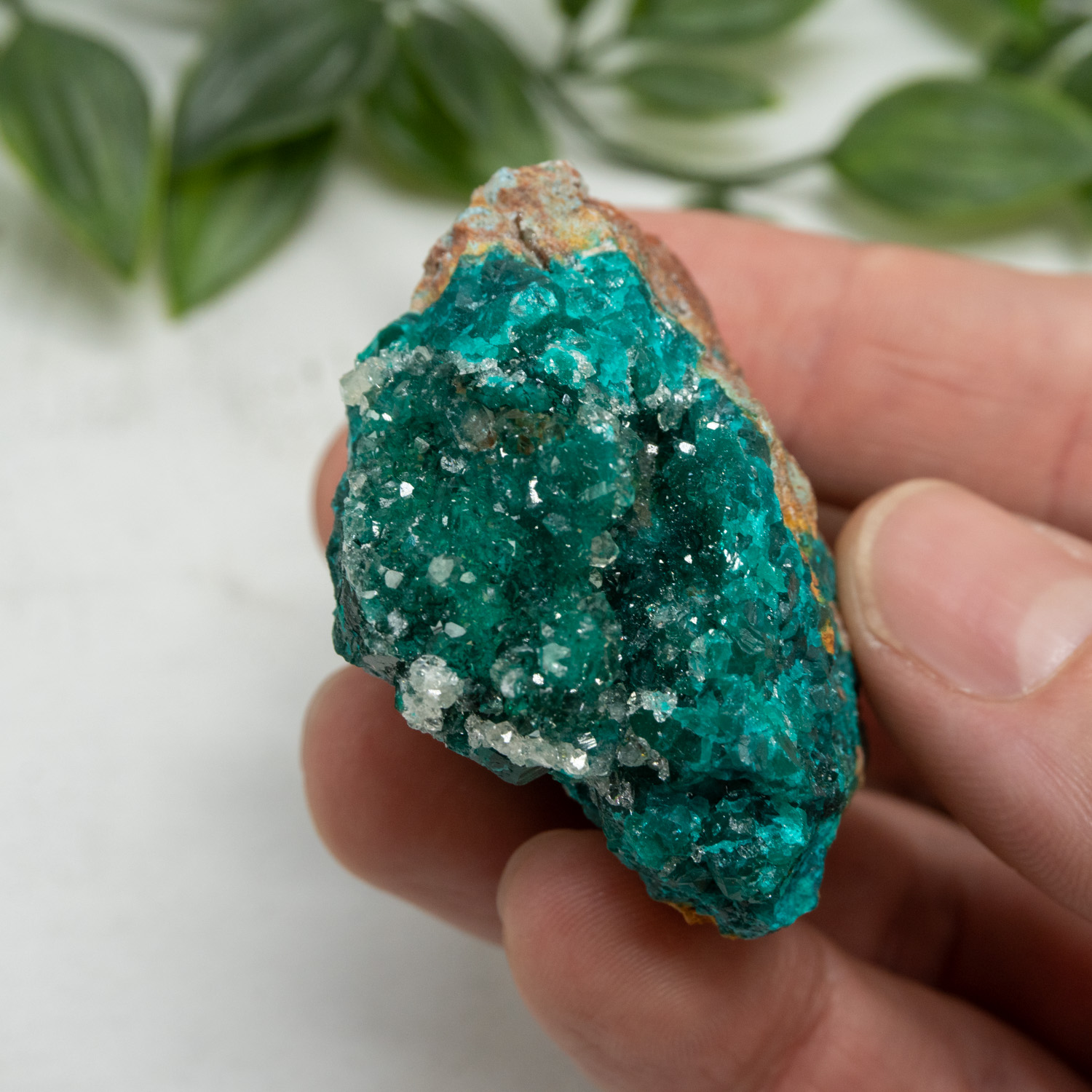 Dioptase #2 - The Crystal Council