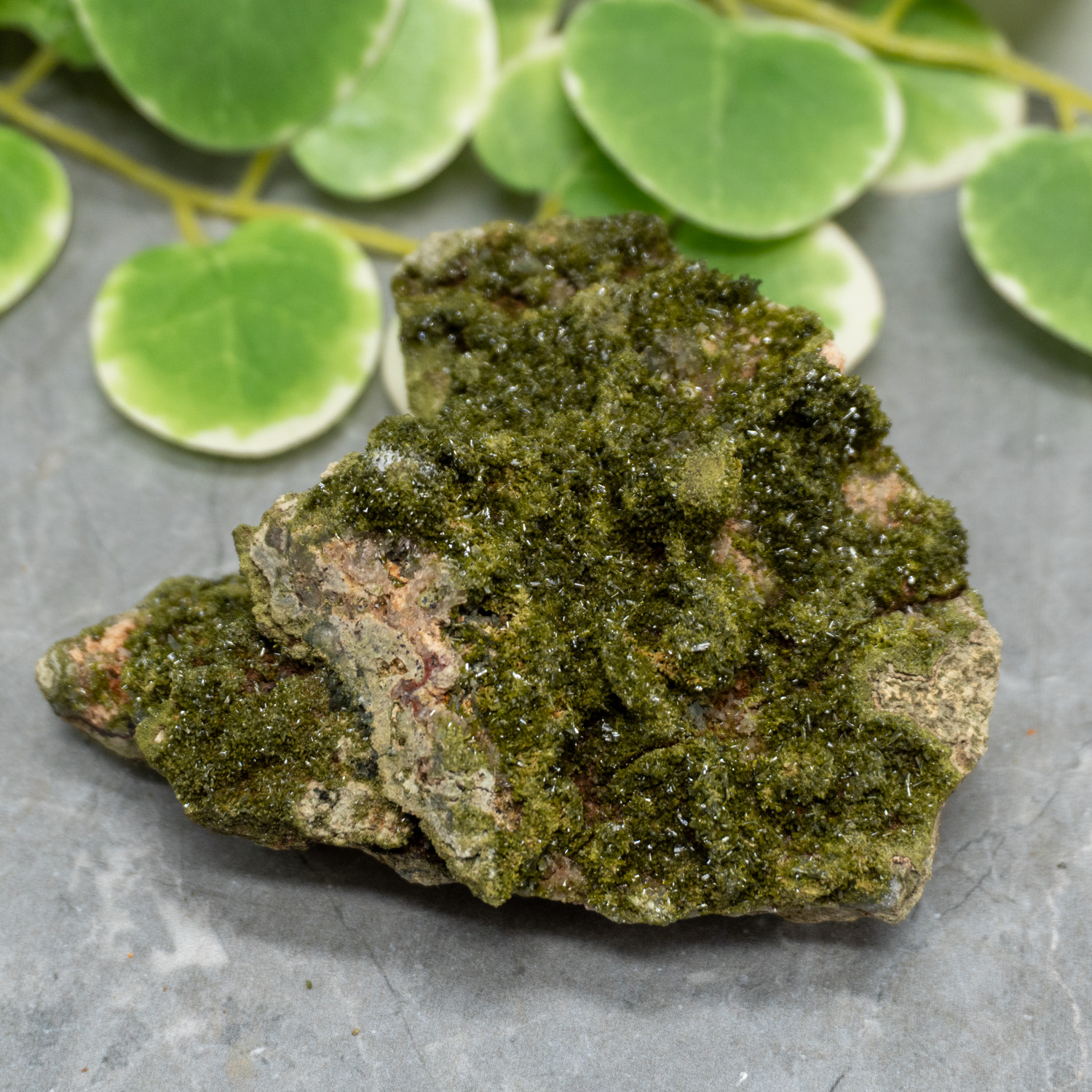 Druzy Raw Epidote #9 - The Crystal Council