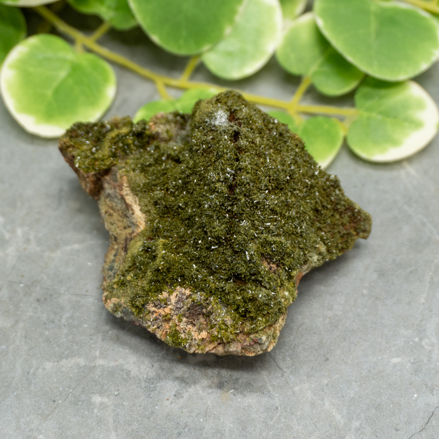 Druzy Raw Epidote #8 - The Crystal Council