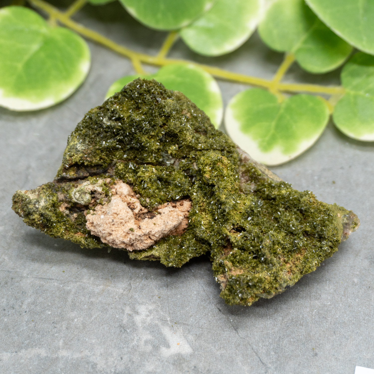 Druzy Raw Epidote #7 - The Crystal Council