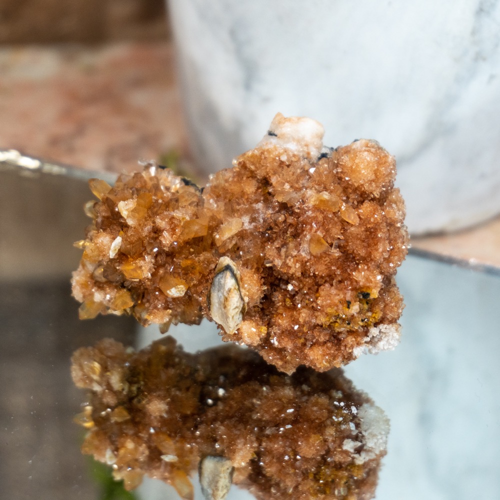 Creedite #1 - The Crystal Council