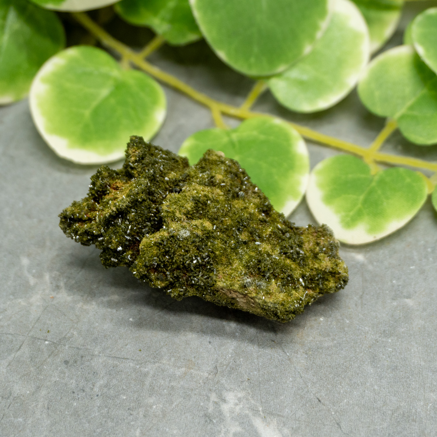 Druzy Raw Epidote #6 - The Crystal Council
