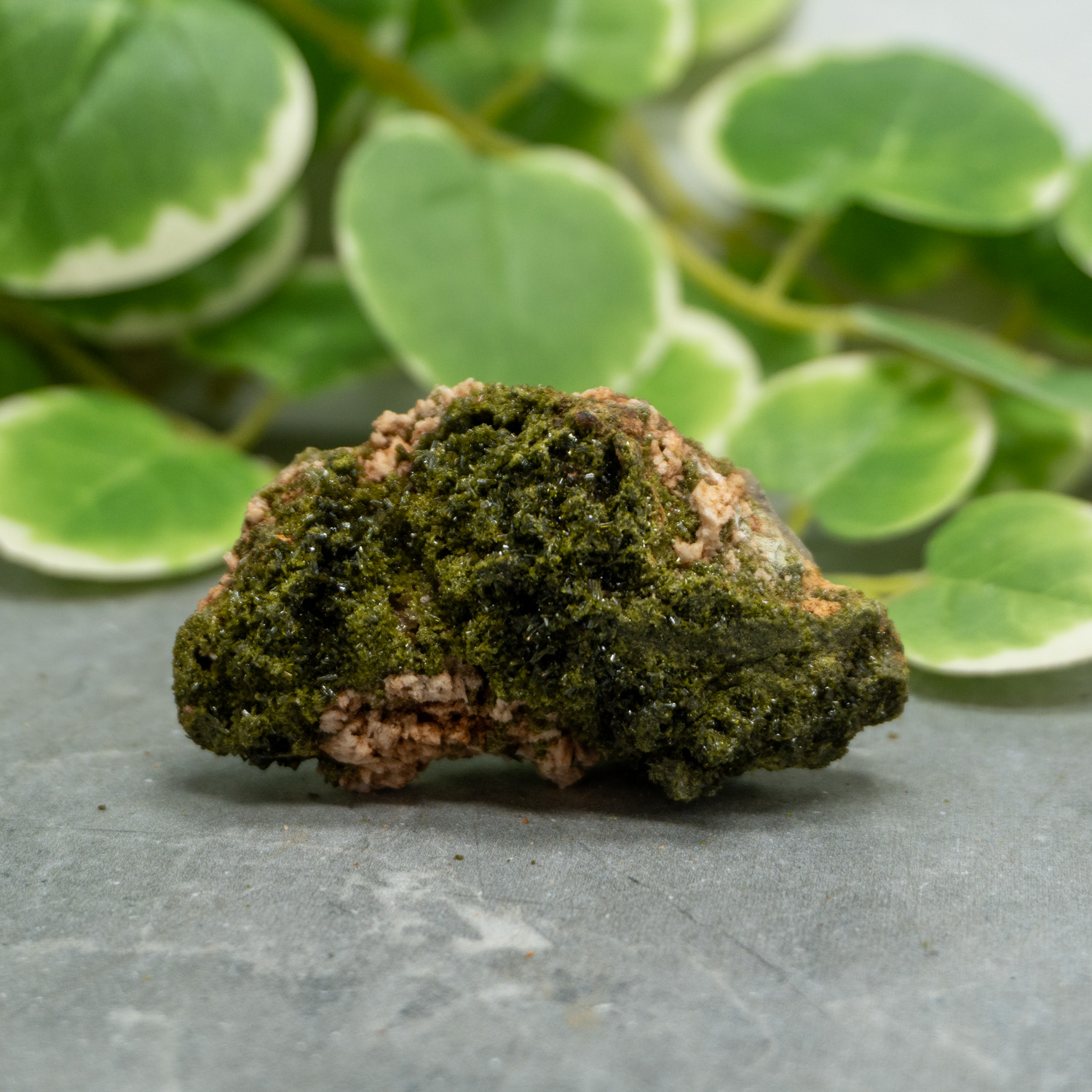 Druzy Raw Epidote #3 - The Crystal Council